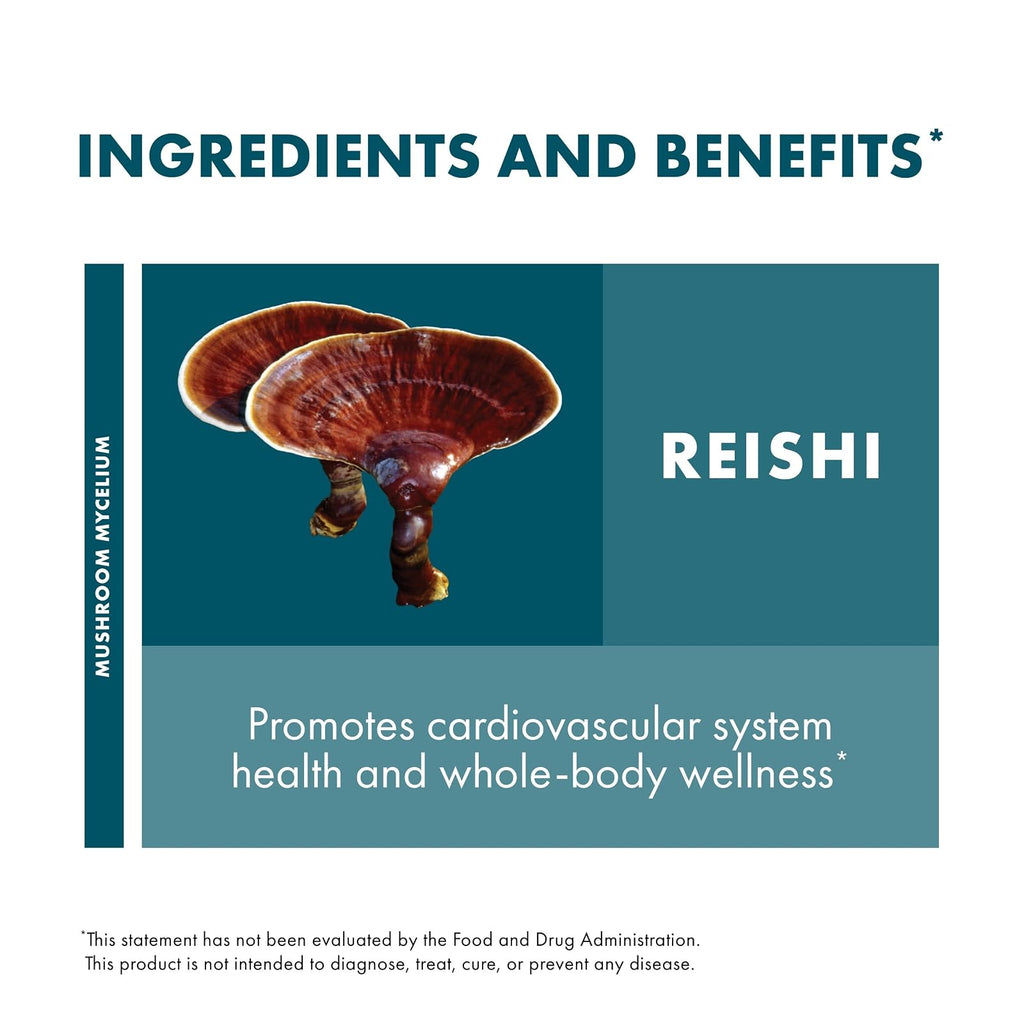 adaptogenic reishi for balanced energy