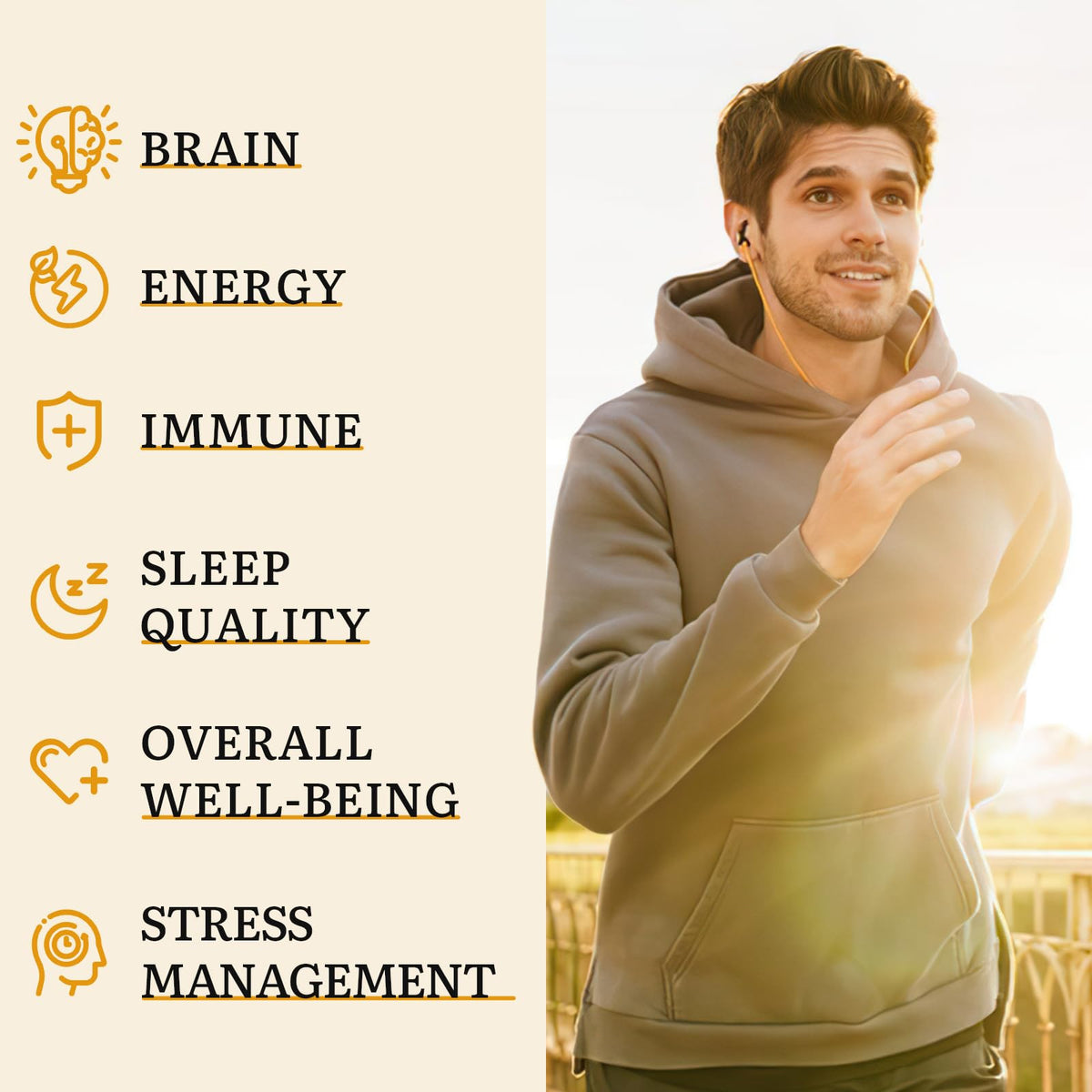 Adaptogenic reishi for enhanced vitality