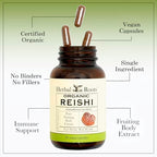 adaptogenic reishi mushroom capsules