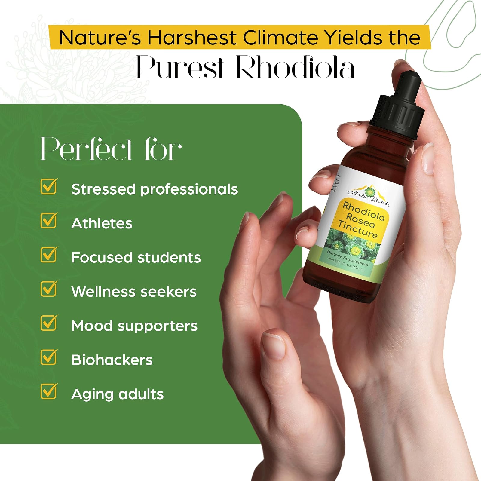 adaptogenic rhodiola for enhanced focus
