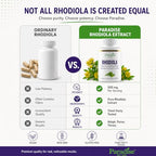 adaptogenic rhodiola for mental clarity