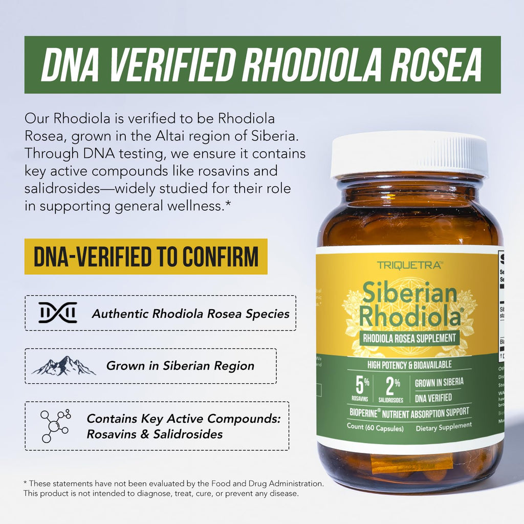 adaptogenic rhodiola for wellness
