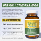 adaptogenic rhodiola for wellness