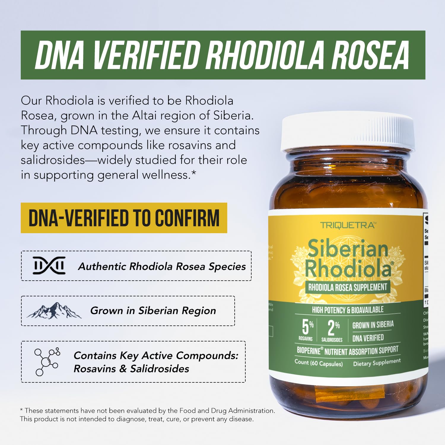 adaptogenic rhodiola for wellness
