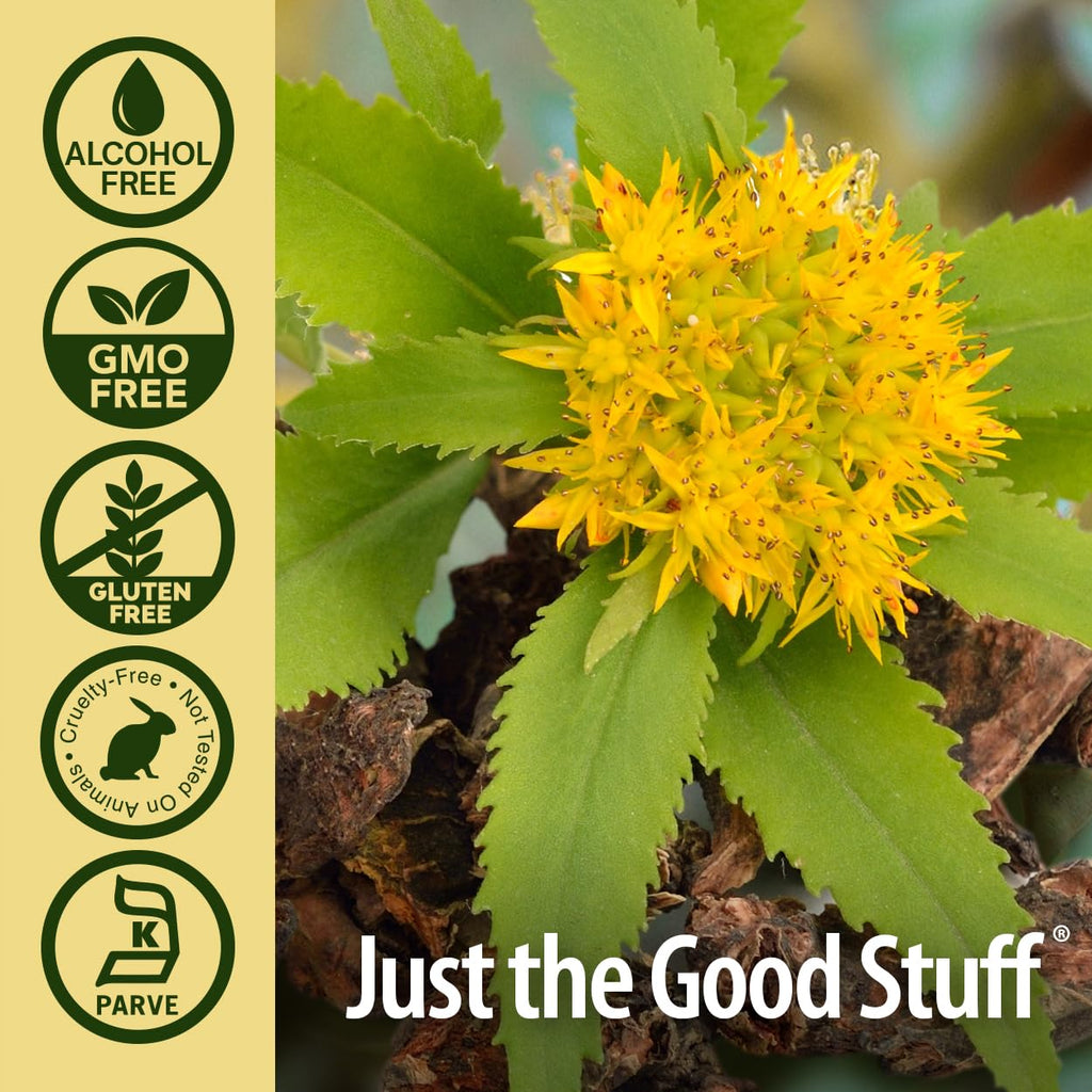 Adaptogenic Rhodiola root benefits