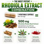 adaptogenic rhodiola rosea supplement