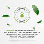 adaptogenic spearmint for wellness