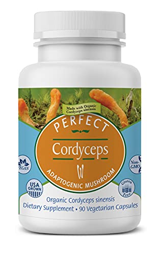 adaptogenic supplement for energy boost