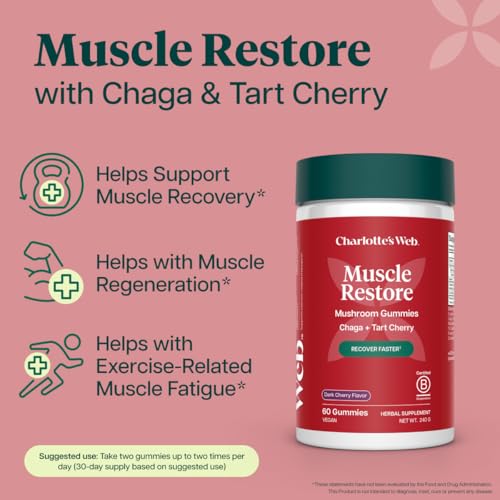 Adaptogenic support with chaga mushrooms
