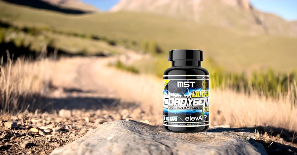 adaptogenic support with cordyceps