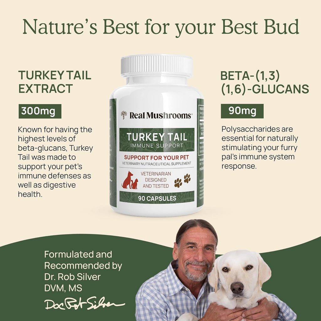 Adaptogenic Turkey Tail for wellness