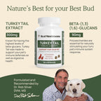 Adaptogenic Turkey Tail for wellness