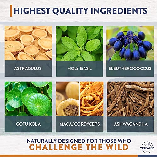 adaptogens for better mental clarity