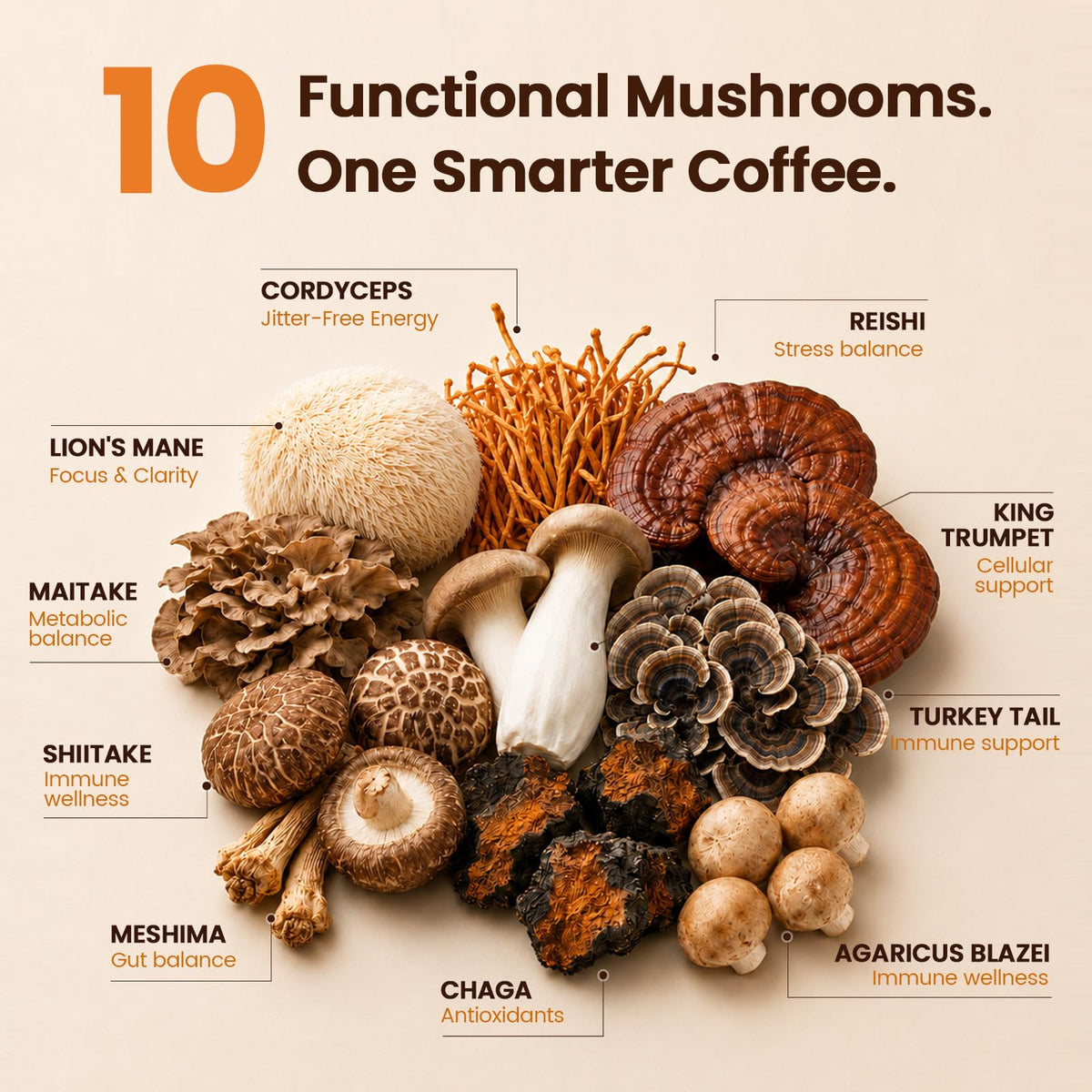 adaptogens for enhanced focus coffee