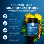 adaptogens for enhanced mood support