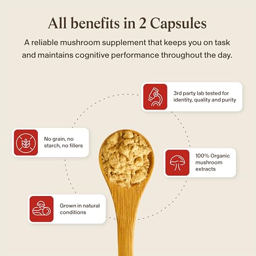 adaptogens for stress relief lion's mane