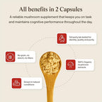 adaptogens for stress relief lion's mane