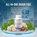 ADAPTOHEAL Neuroheal memory boosting formula