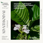 Adathodai herbal capsules for immunity