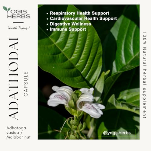 Adathodai herbal capsules for immunity