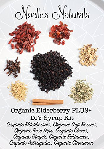add honey to elderberry syrup