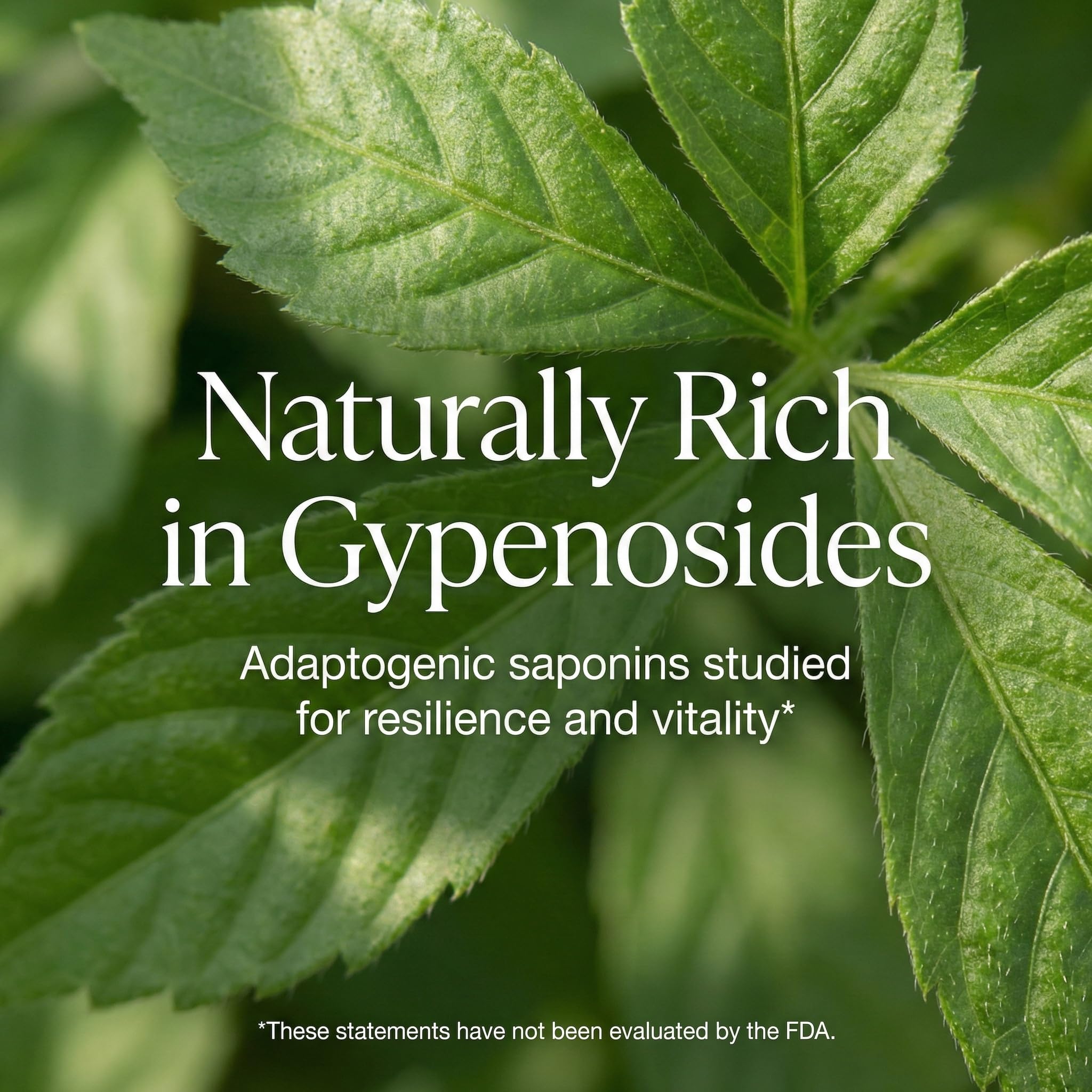 Addictive Wellness herbal supplement uses