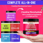 Adndale creatine for daily nutrition