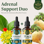 adrenal support for busy lifestyles