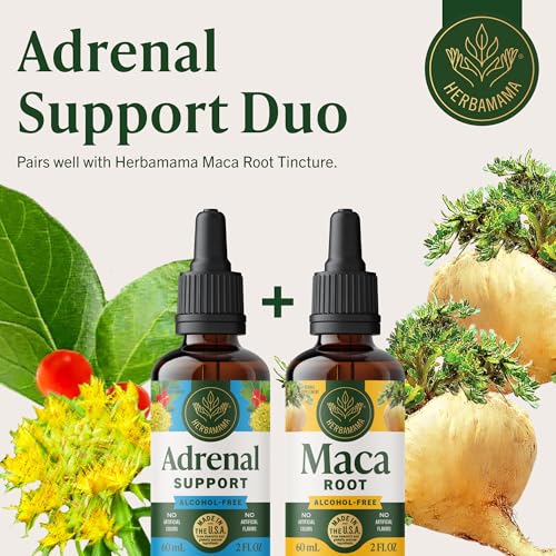 adrenal support for busy lifestyles