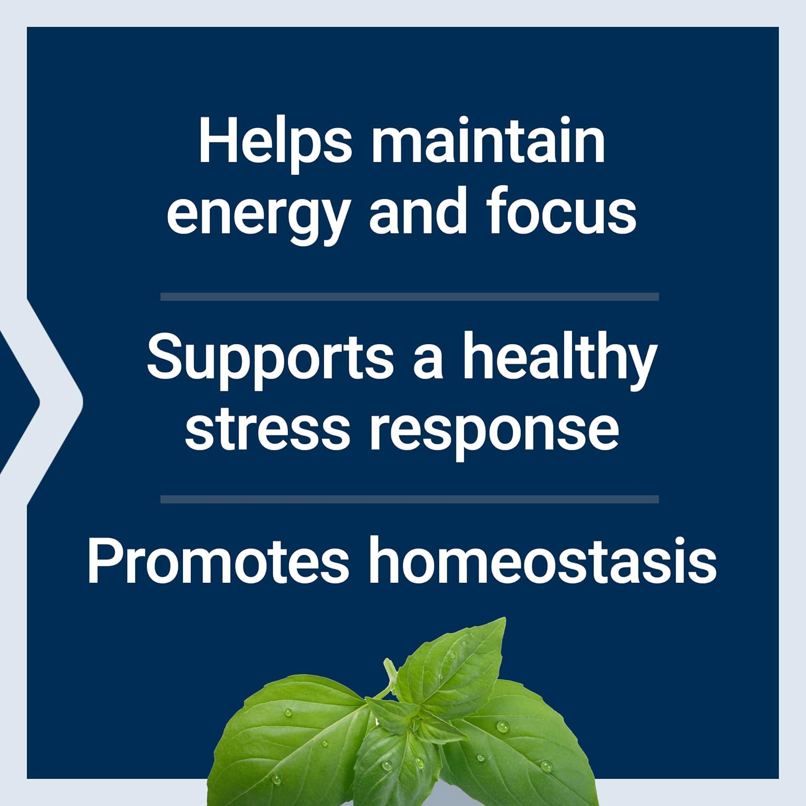 adrenal support multivitamin for men