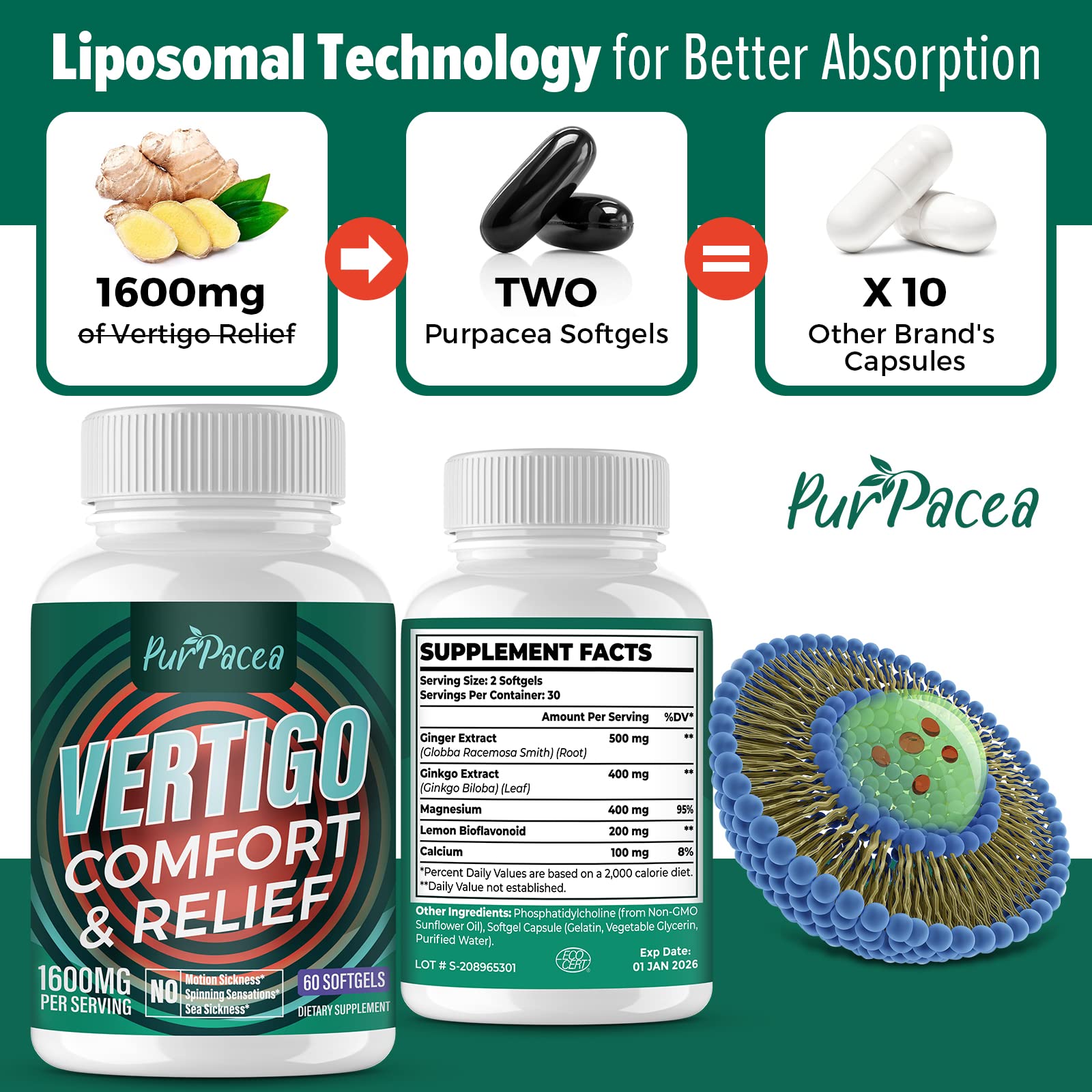 Advanced absorption ginkgo biloba softgels
