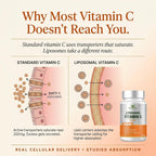 advanced absorption vitamin c supplement