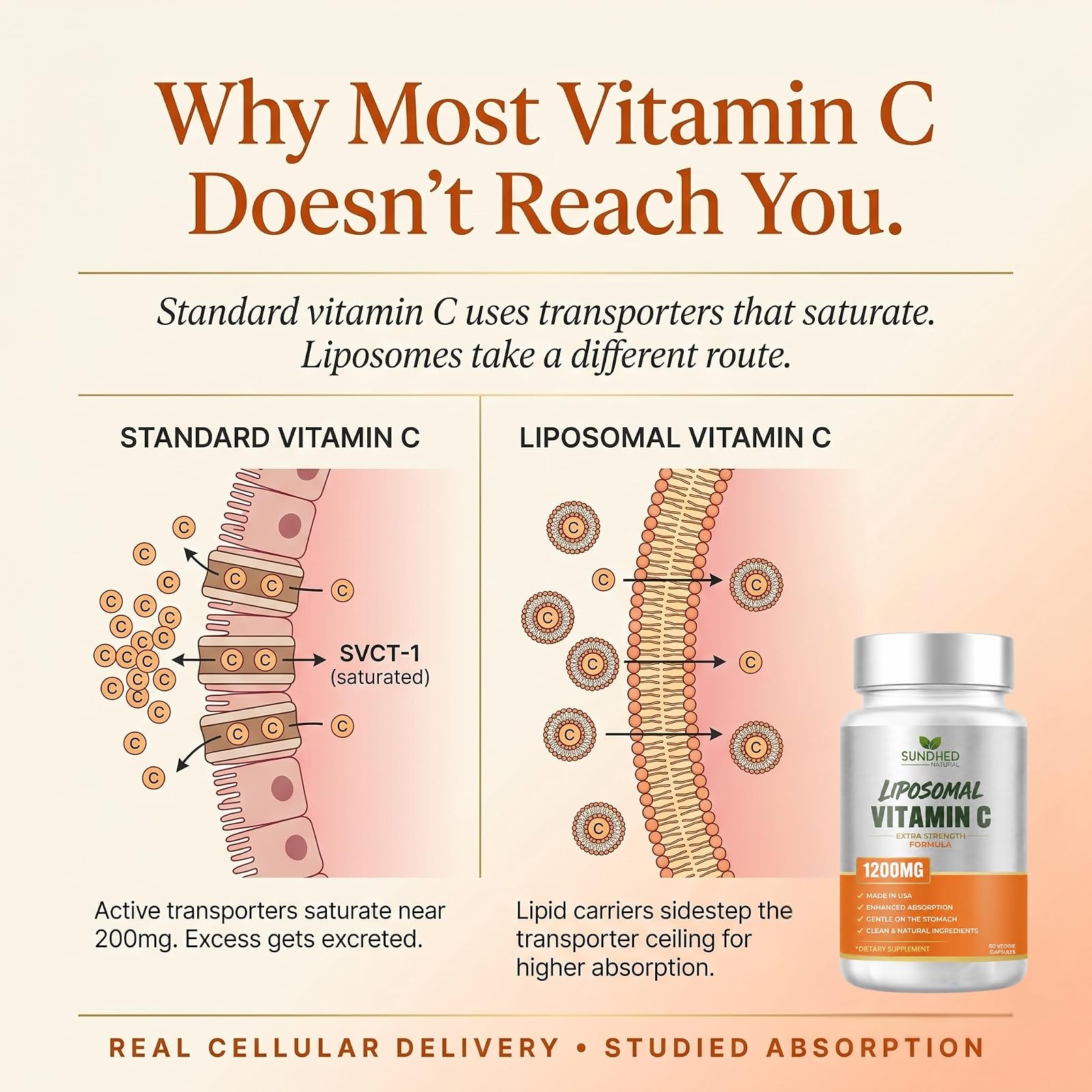advanced absorption vitamin c supplement