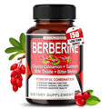 advanced berberine supplement for wellness