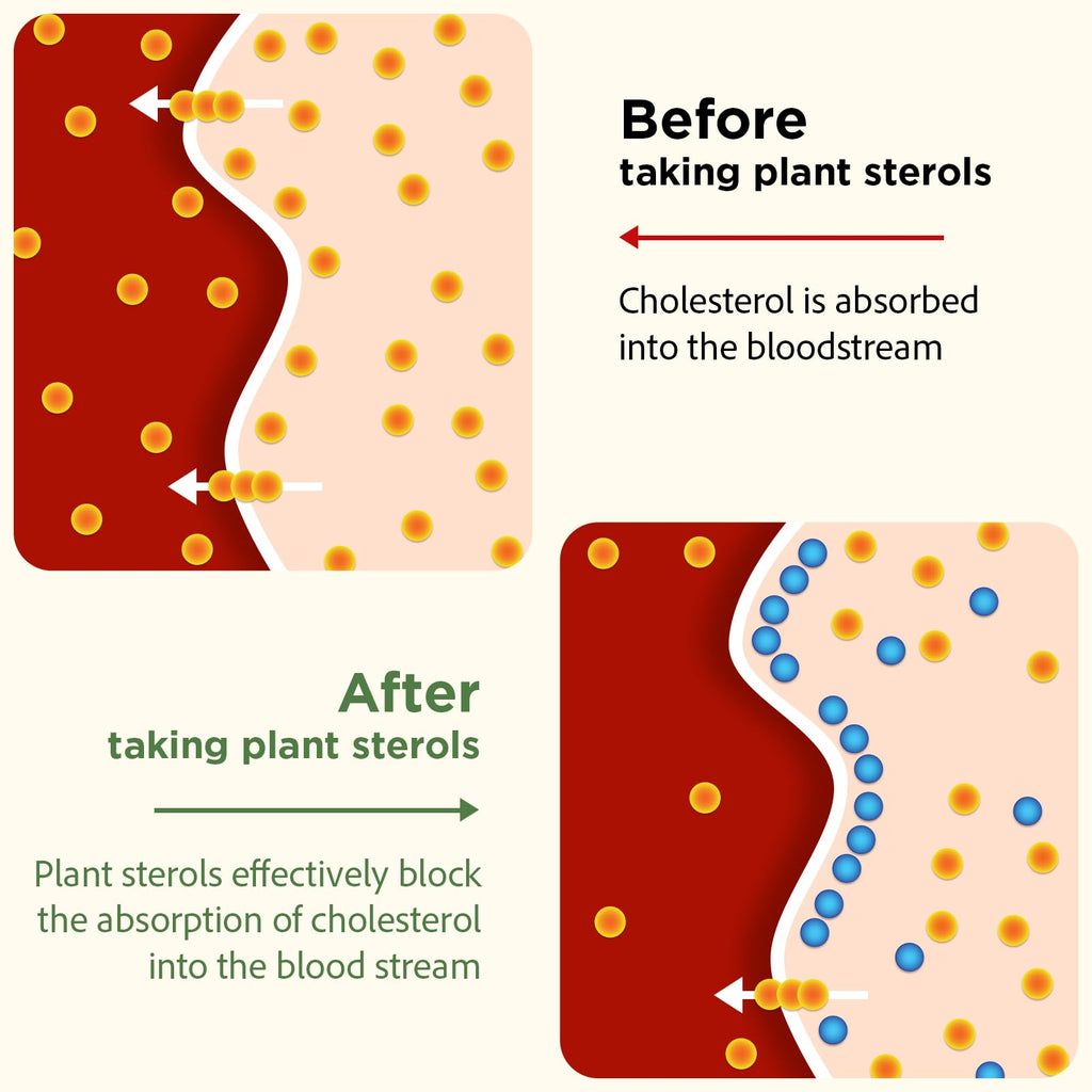 advanced cholesterol management vitamins