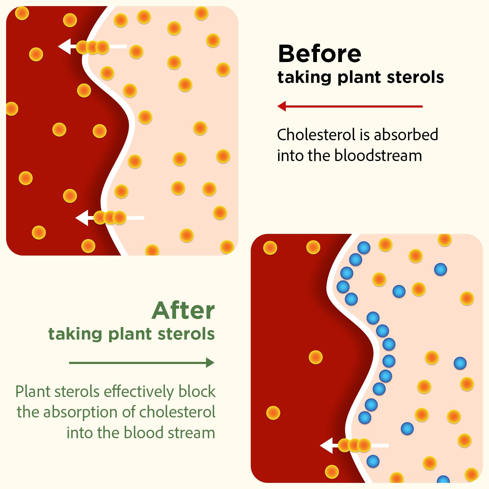 advanced cholesterol management vitamins