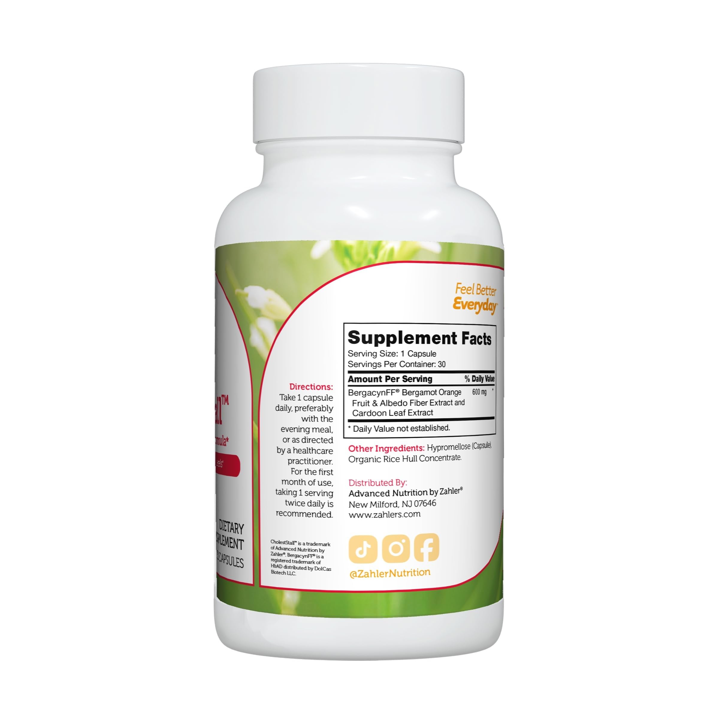 Advanced cholesterol support formula
