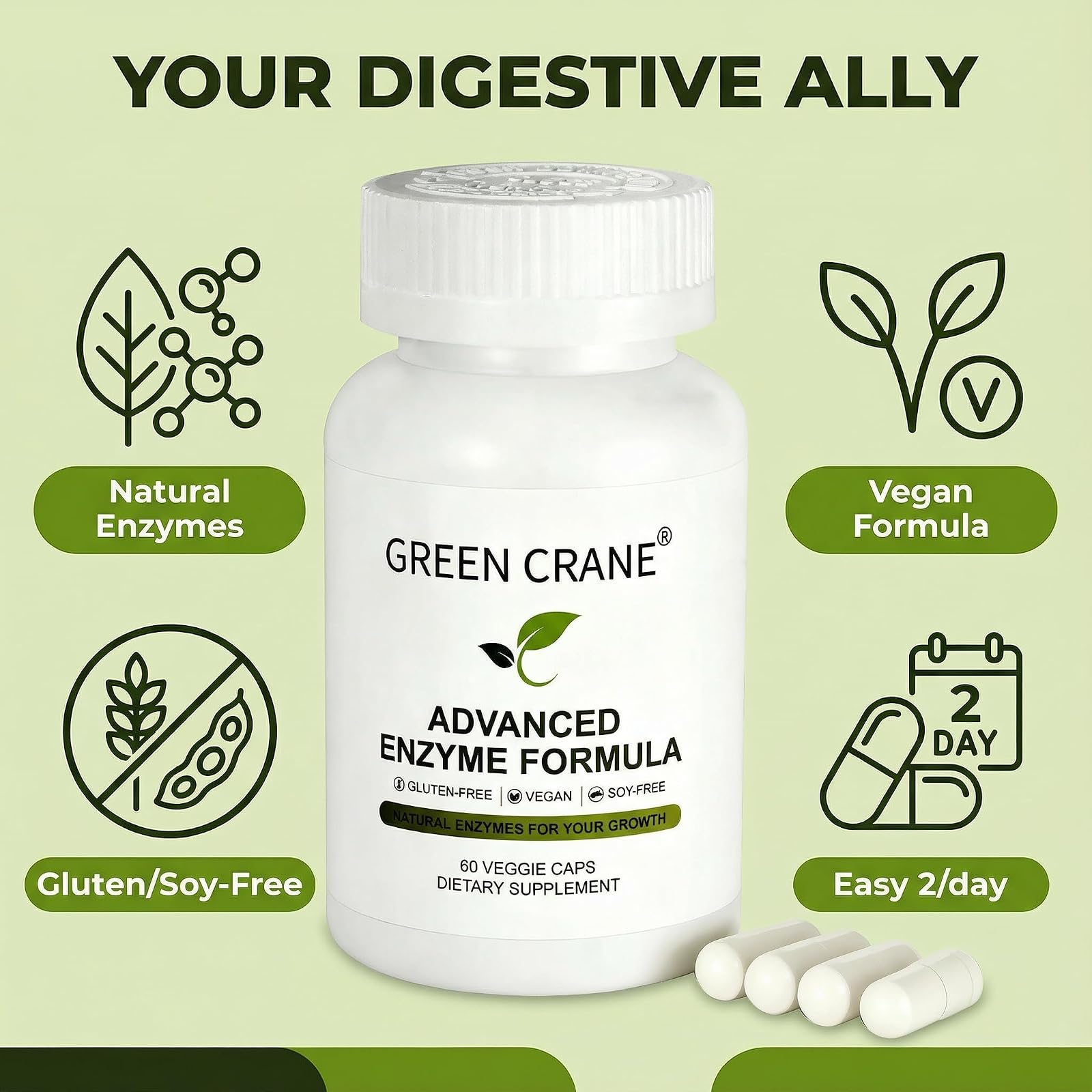 advanced enzyme formula for nutrient absorption