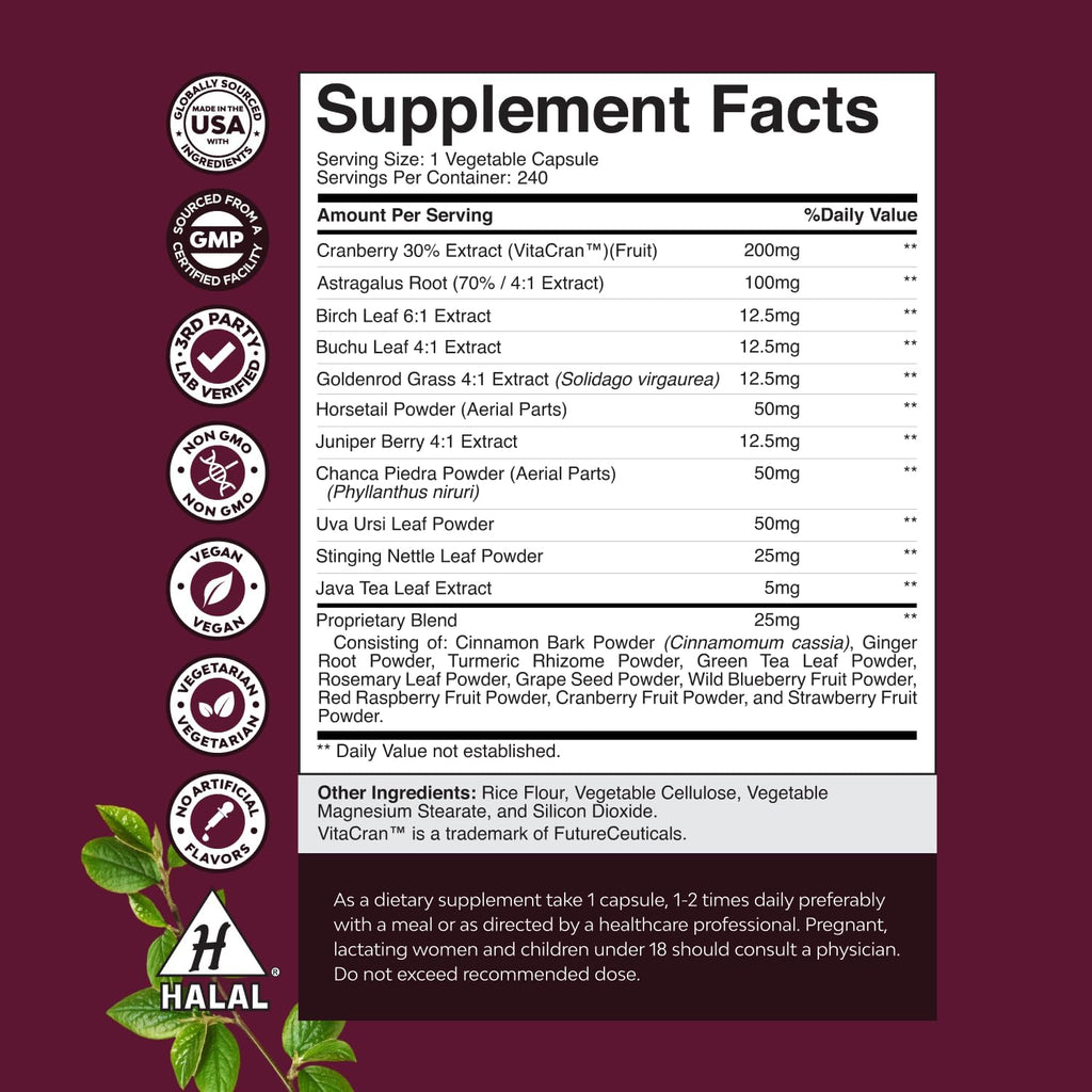 advanced kidney support with herbal ingredients