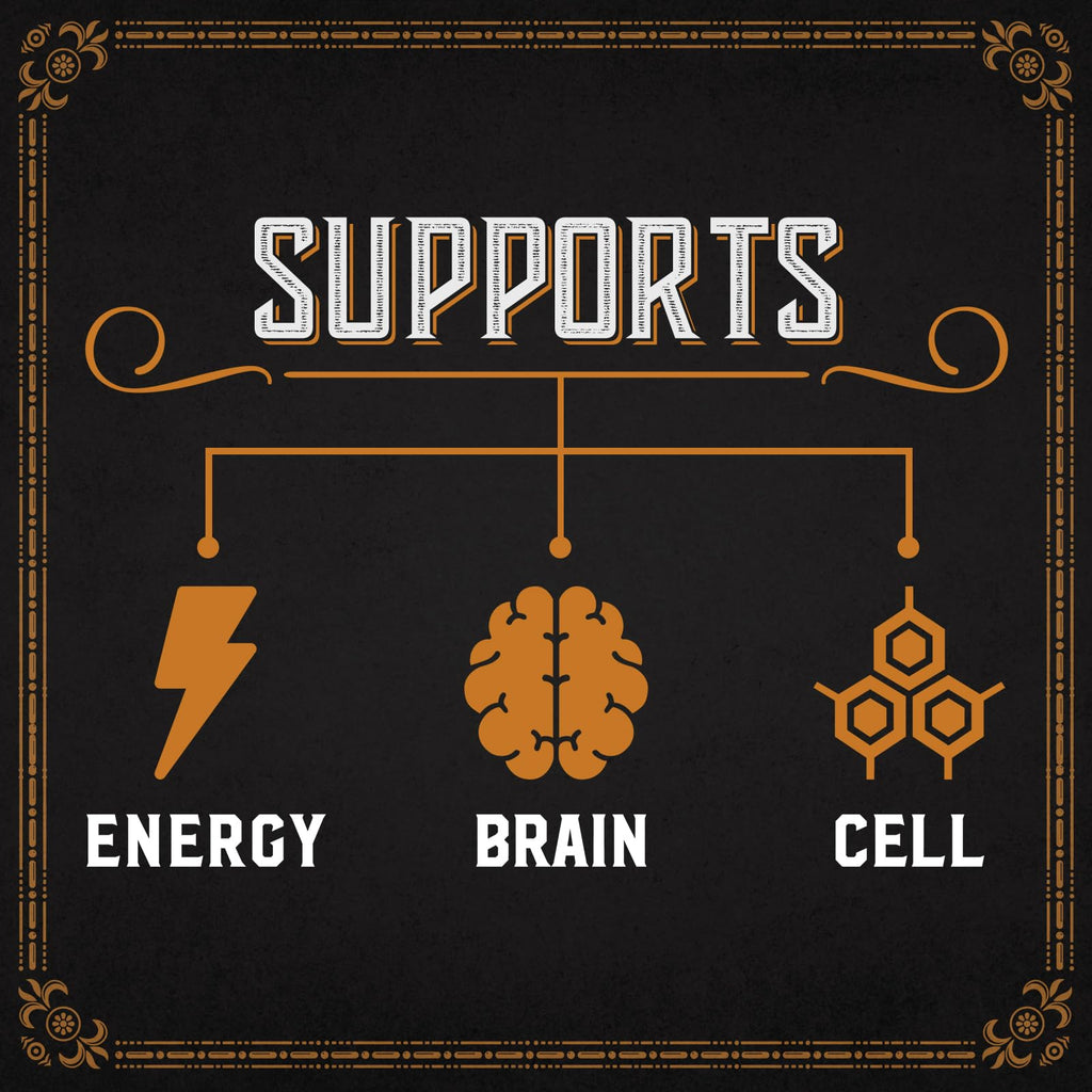 advanced liposomal formula for better absorption