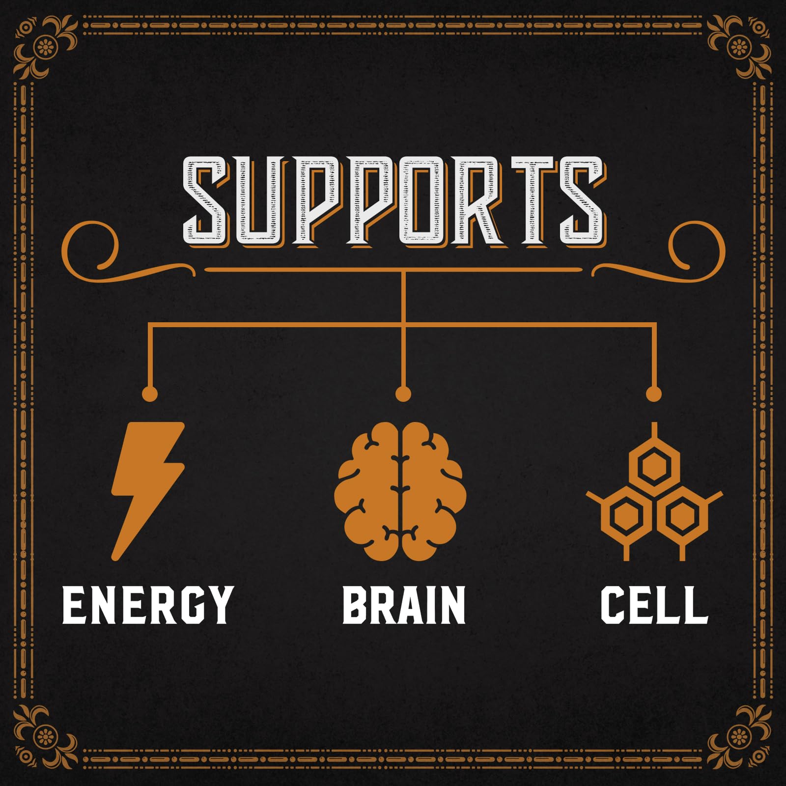advanced liposomal formula for better absorption