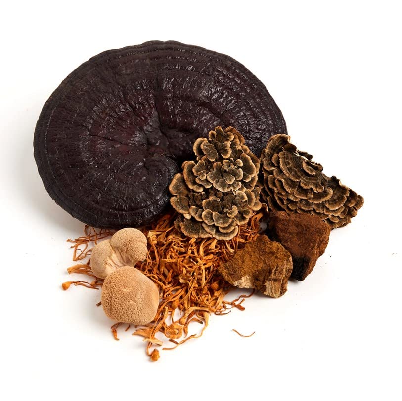 advanced mushroom complex benefits