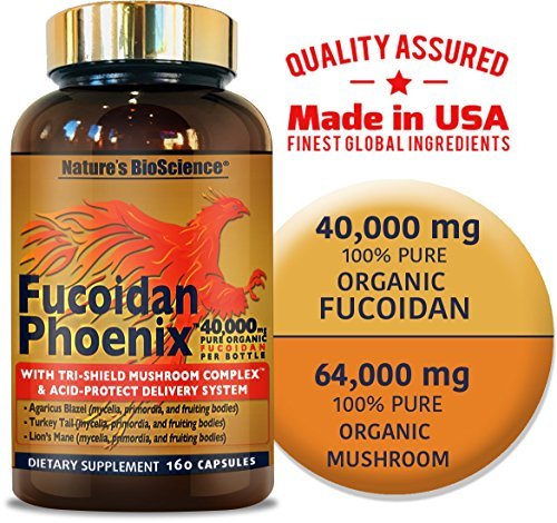 advanced mushroom extract for wellness