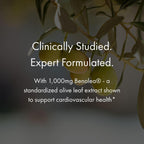 Advanced olive leaf extract formula