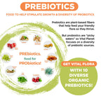 advanced probiotics for gut balance