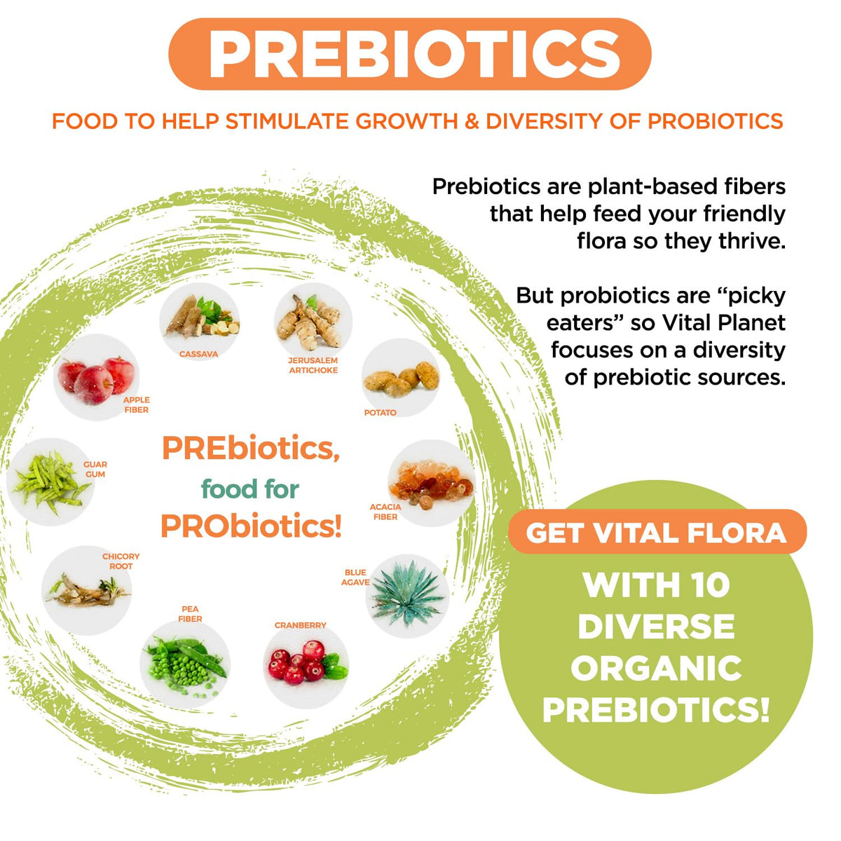 advanced probiotics for gut balance