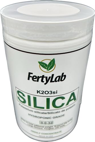 advanced silicon for EV batteries