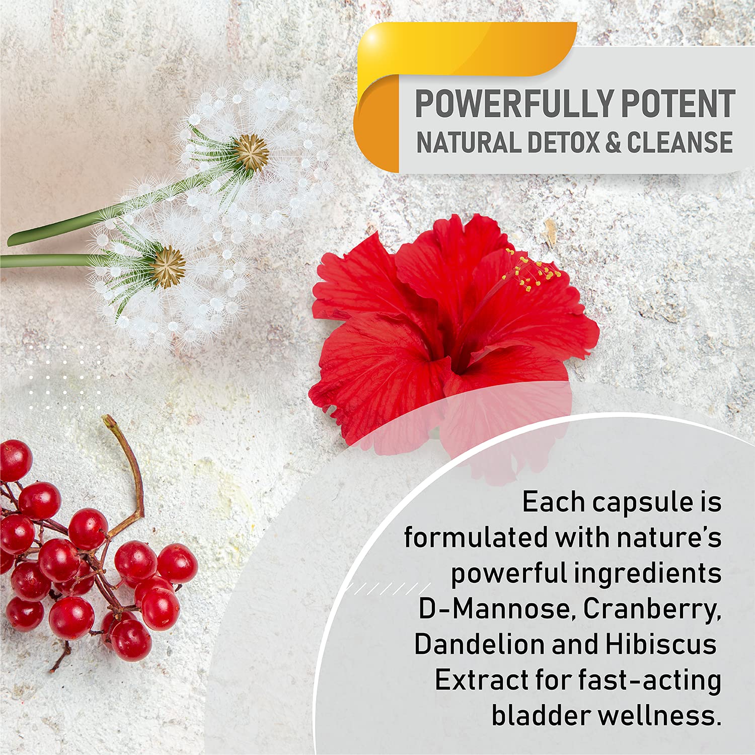 Advanced urinary health support formula