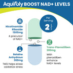 Aesticum Liposomal Vitamin B3