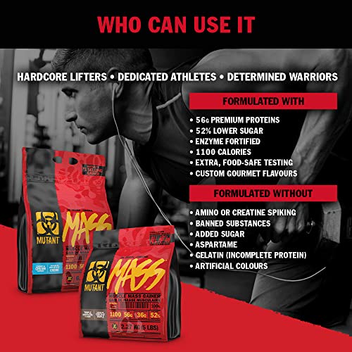 affordable weight gainers for fitness
